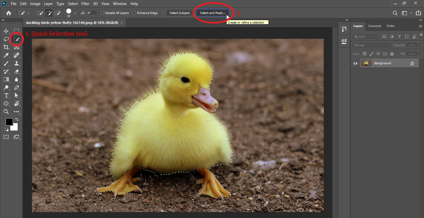 How To Apply Feather Effect In Photoshop – WebTopic