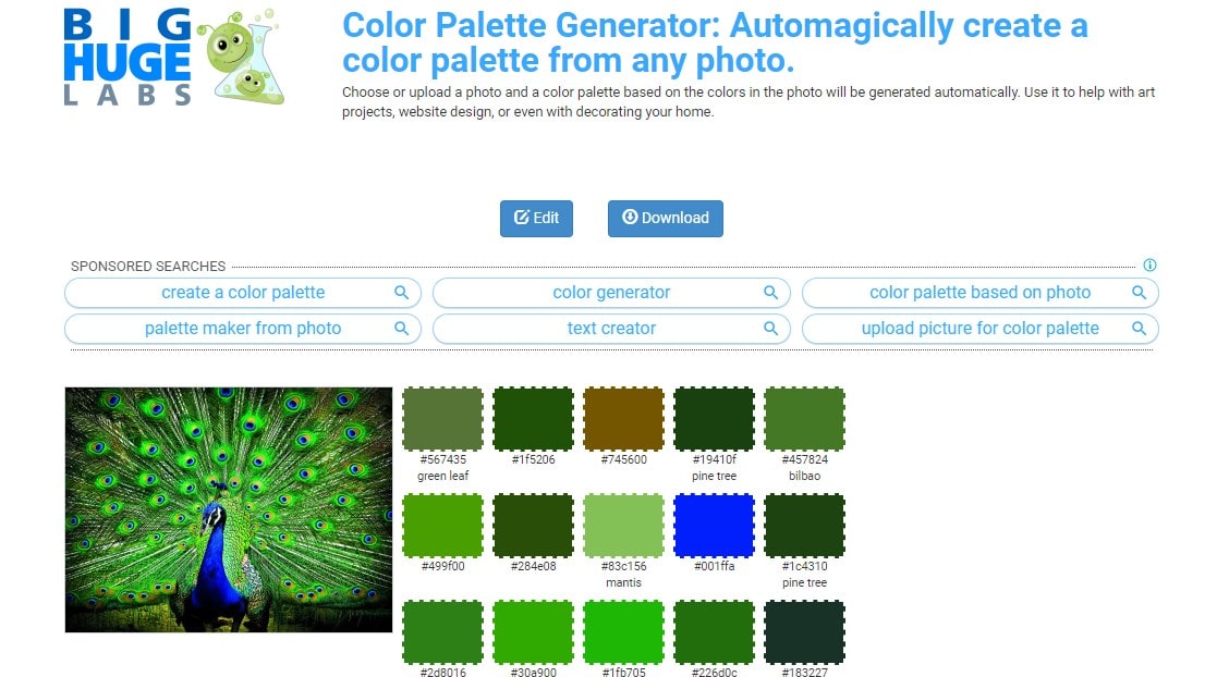 24 Best Free Color Palette Generators – WebTopic