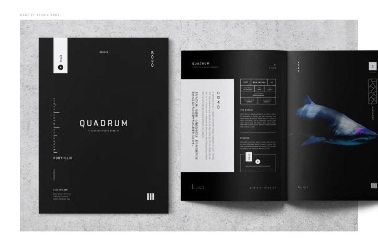 34 Best Graphic Design Portfolio Examples PDF Collection – WebTopic