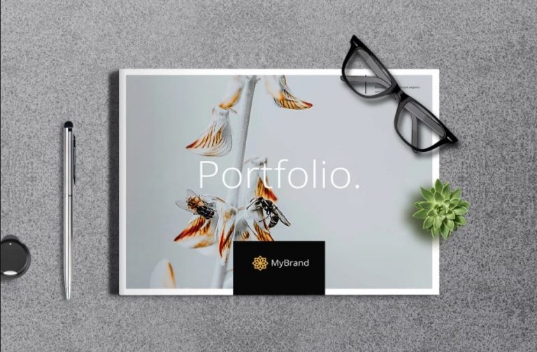 34 Best Graphic Design Portfolio Examples PDF Collection – WebTopic