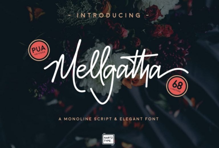 42 Best Inspirational Fonts For Designers – WebTopic