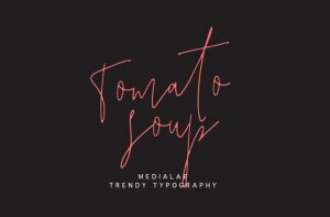 42 Best Inspirational Fonts For Designers – WebTopic