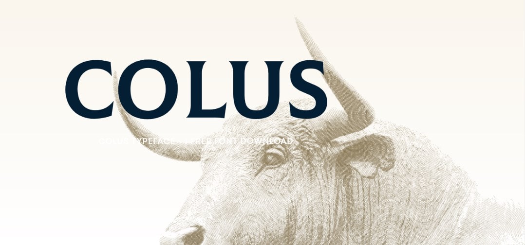 42 Best Inspirational Fonts For Designers – WebTopic