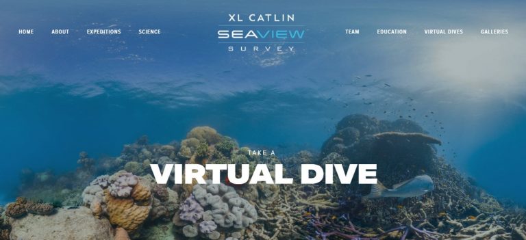 25 Calming Websites for Mindful and Beautiful Breaks – WebTopic