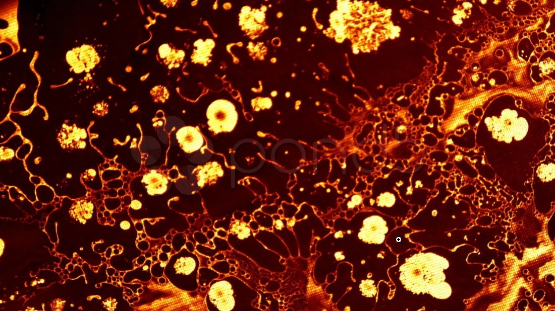 35 Unique Collection of Film Burns Textures to Download – WebTopic