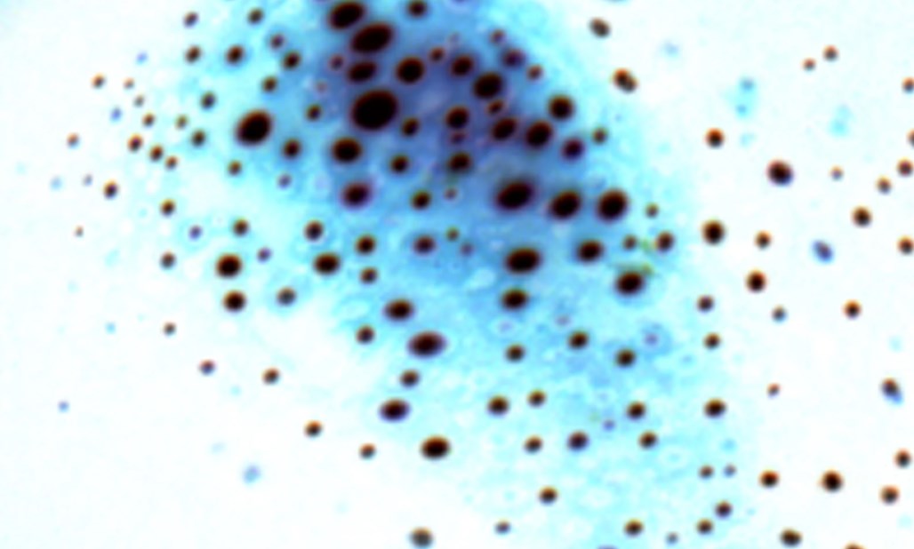 35 Unique Collection of Film Burns Textures to Download – WebTopic