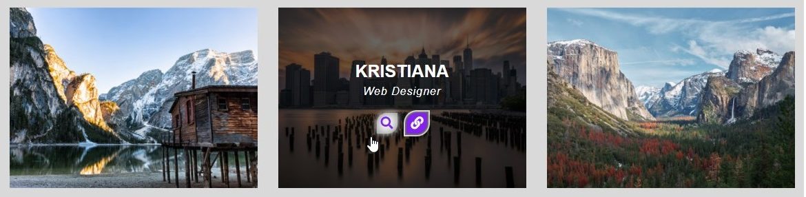 35 Best Bootstrap Image Hover Effects – WebTopic