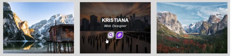 35 Best Bootstrap Image Hover Effects – WebTopic