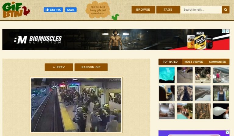 12 Best Meme Search Engines to Find Memes and GIFs – WebTopic