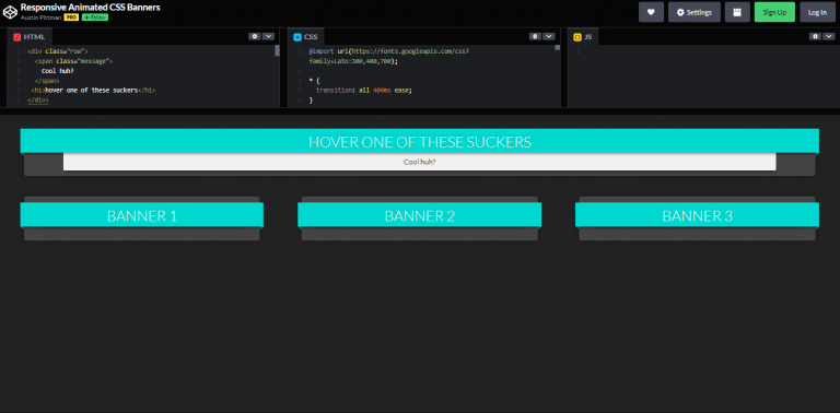21 CSS Banners – WebTopic