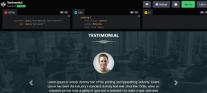 15 CSS Testimonial Code Examples – WebTopic